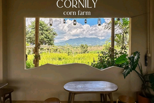 Cornily Corn Farm 🌽🏠 | Trip.com อำเภอ เขาค้อ