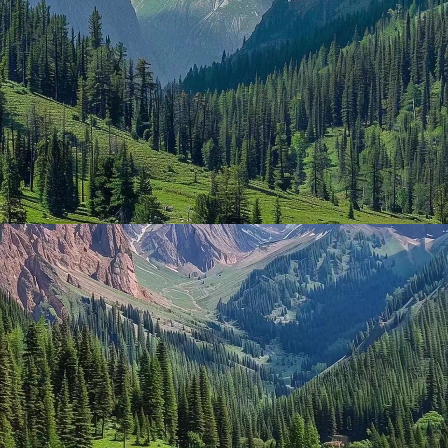 Things to Do in Yining in 2024 - Top Attractions, Local Food, Hotels ...