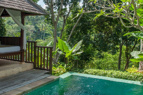 🌴 Unwind in Ubud: Komaneka at Tanggayuda's Forest Charm 🌴 | Trip.com Bali