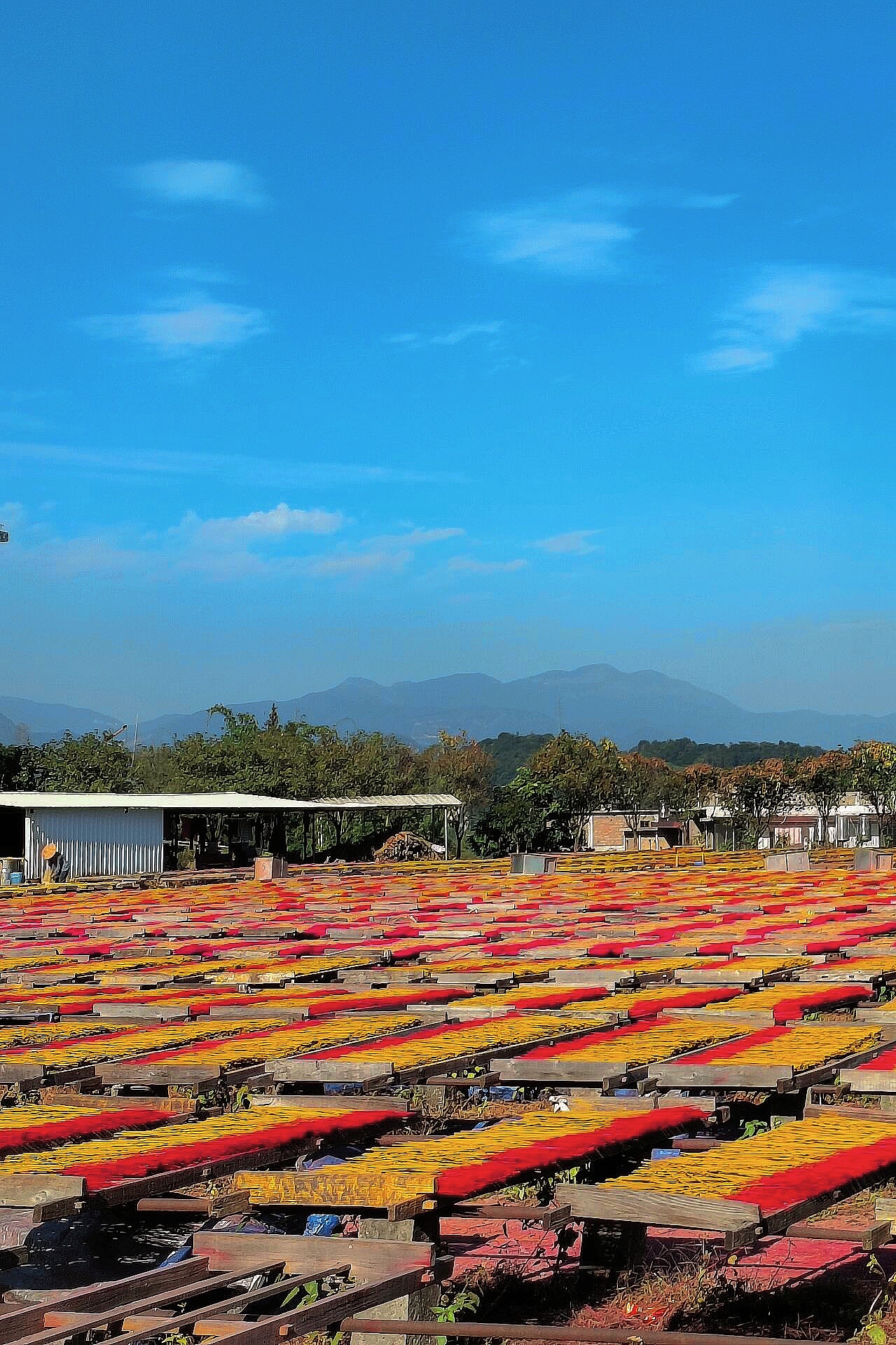 Things to Do in Yongchun in 2025 - Top Attractions, Local Food, Hotels ...