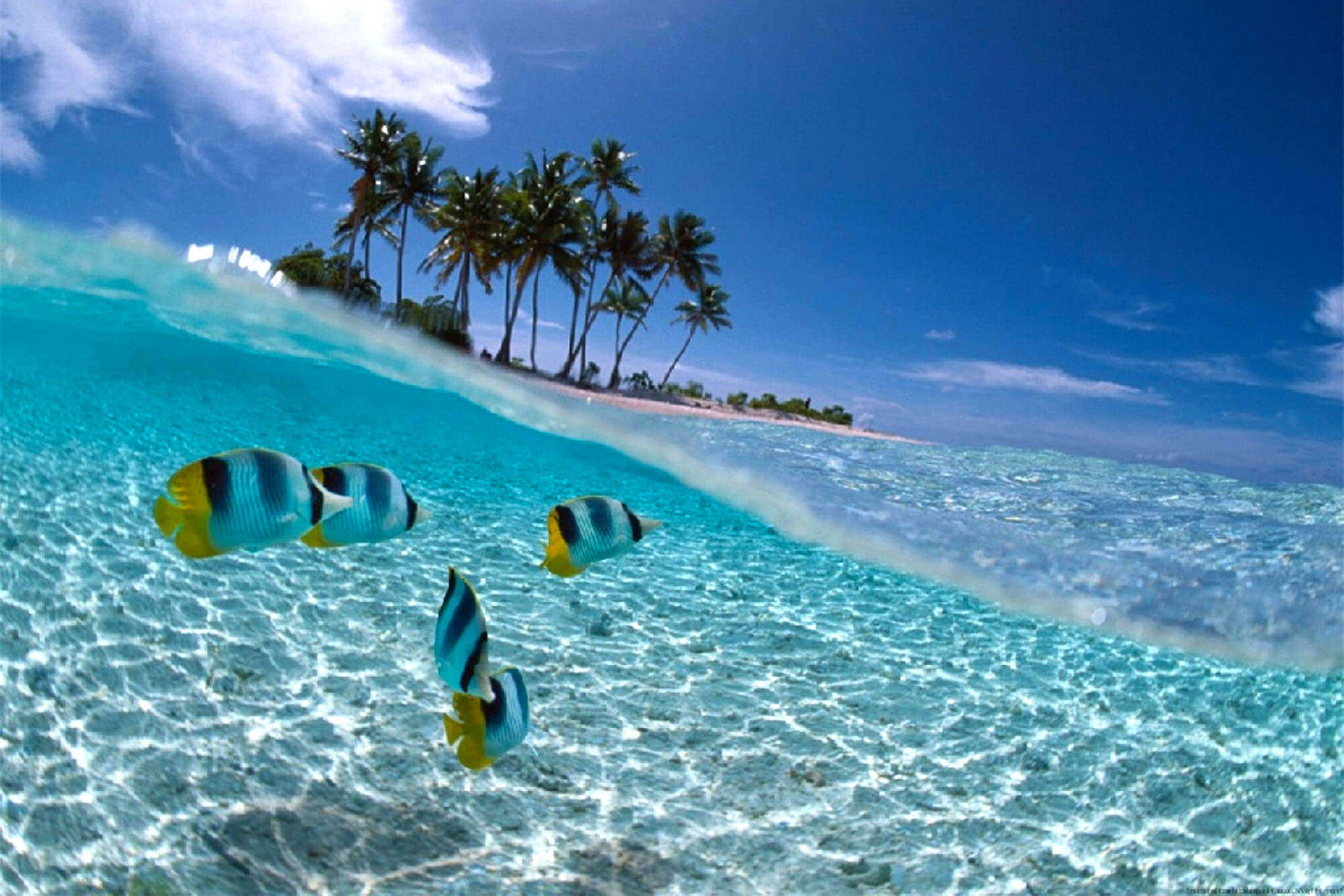 Things to Do in Linjiang in 2024 - Top Attractions, Local Food, Hotels ...