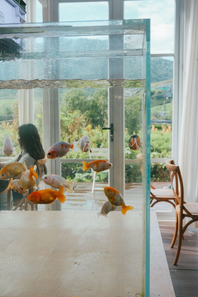 Hidden in the secret place of Hangzhou city, no wonder Zhang Linghe has ...