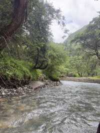 Mist Mountain Dream⛰️ | Trip.com Xiaojin