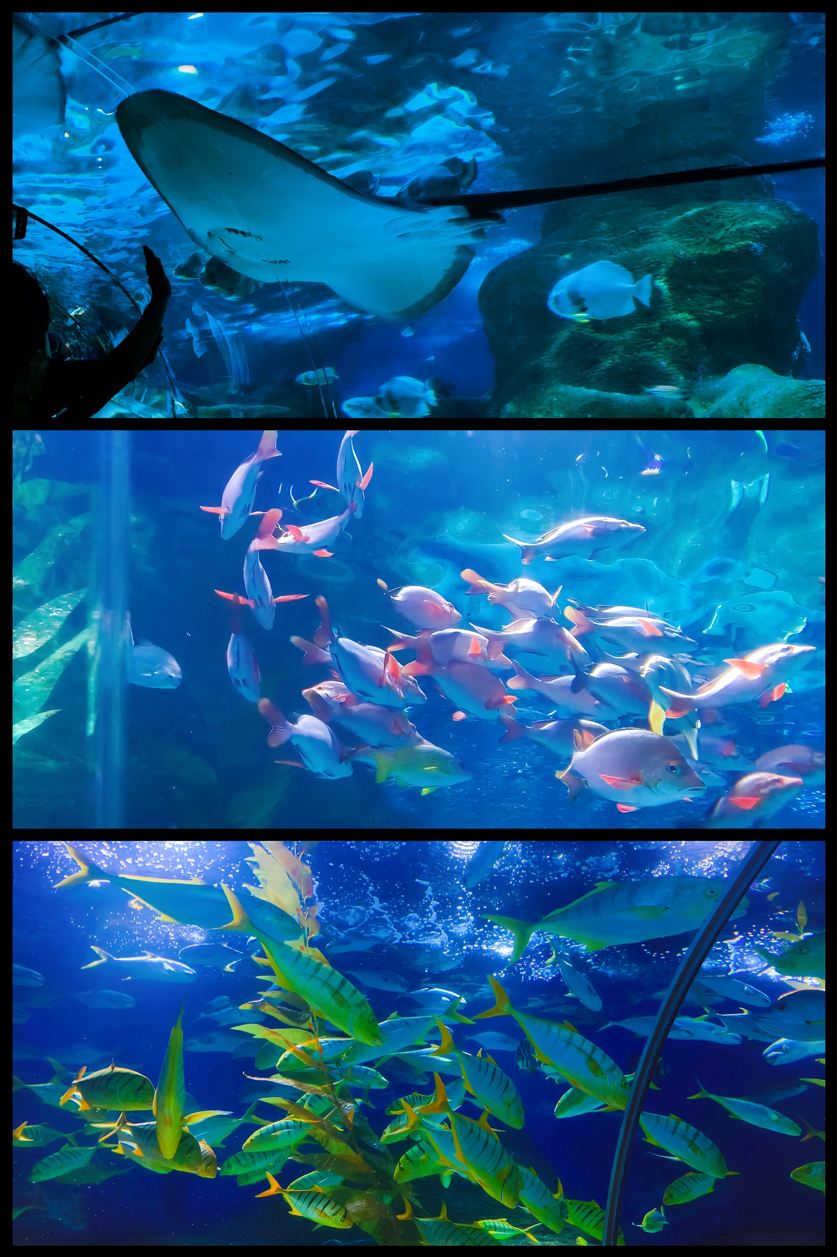 Things to Do in Dalian in 2024 - Top Attractions, Local Food, Hotels ...