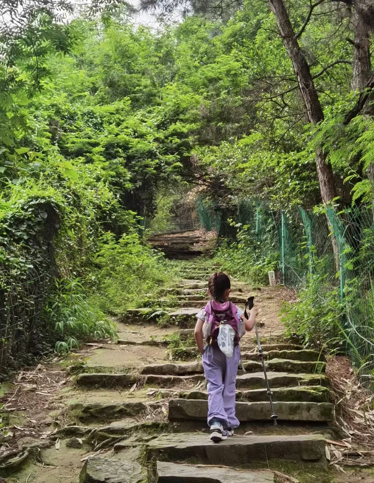 Things to Do in Yibin in 2025 - Top Attractions, Local Food, Hotels ...