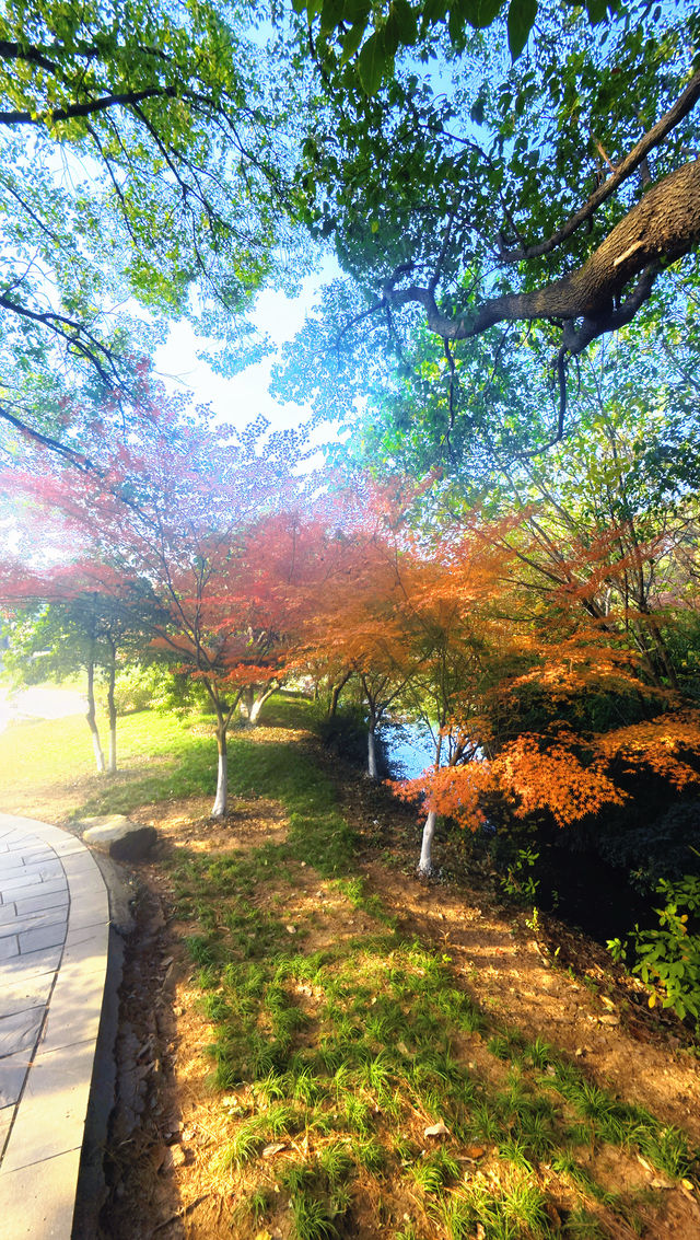 常熟虞山國家森林公園｜Trip.com 常熟