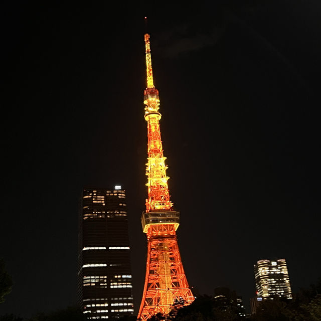 Spectacular view from Tokyo tower | Trip.com Tokyo