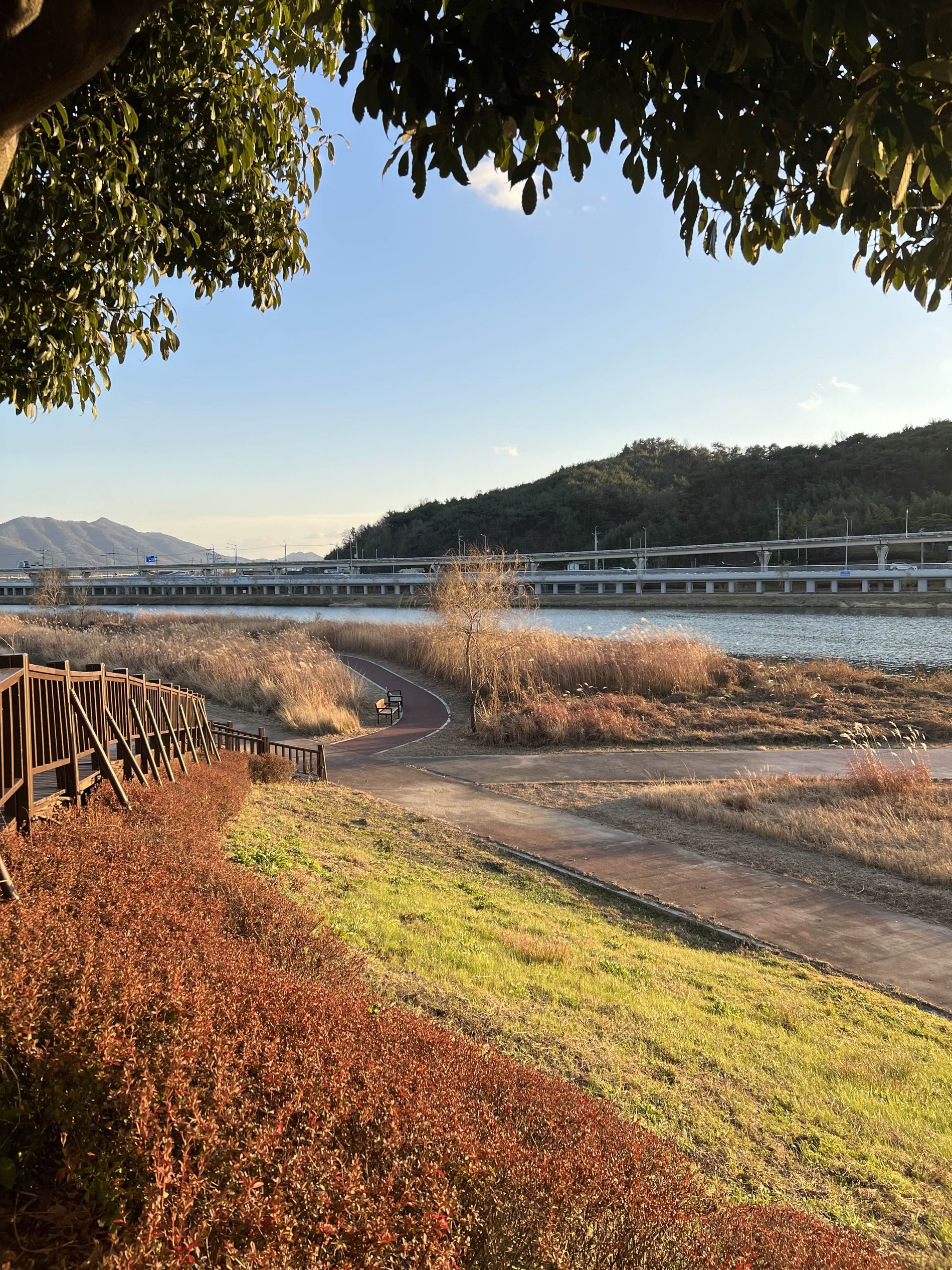 Suncheon-si Travel Guide 2024 - Things to Do, What To Eat & Tips | Trip.com