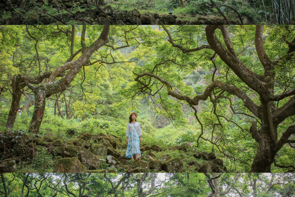 The Baizhang Greenway hiking trail in Zengcheng, Guangzhou, takes you ...