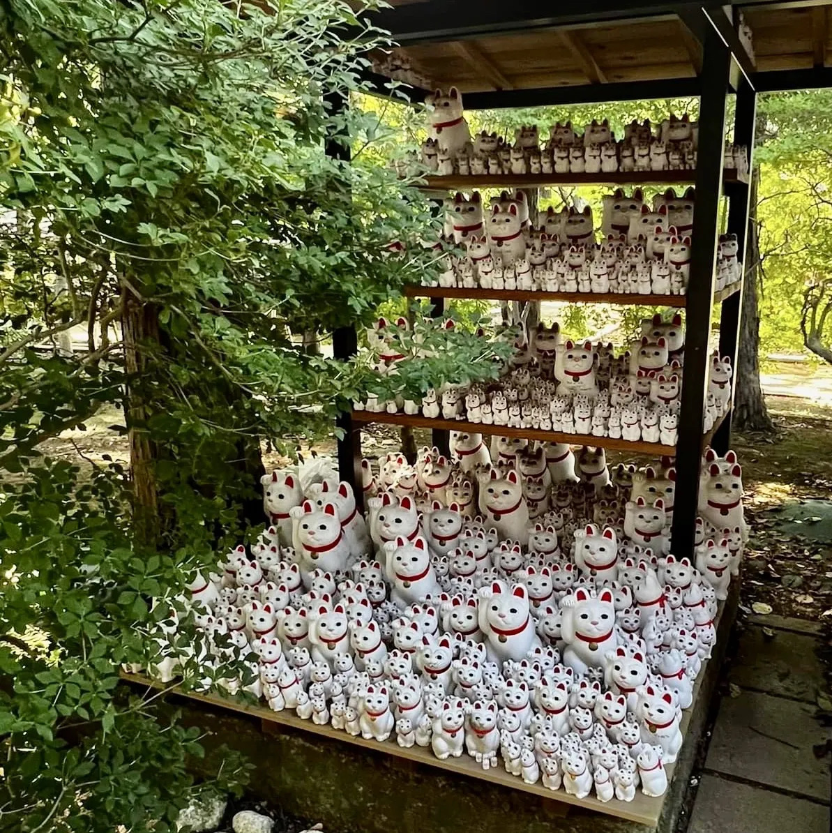 Chofu Travel Guide 2024 - Things to Do, What To Eat & Tips | Trip.com