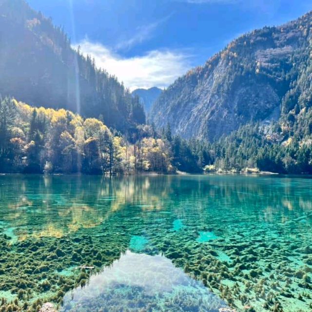 Five Flower Lake | Trip.com จิ่วจ้ายโกว