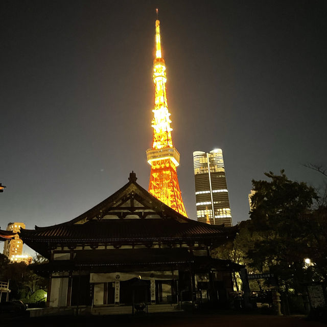 Spectacular view from Tokyo tower | Trip.com Tokyo