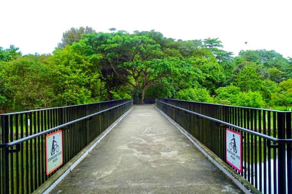 Springleaf Nature Park | Trip.com Singapore