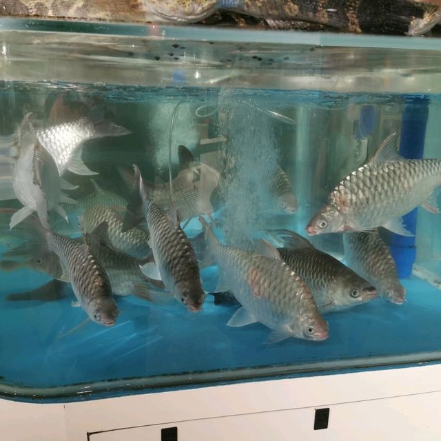 Ji Xian Seafood And Hong Kong Dim Sum | Trip.com Singapore