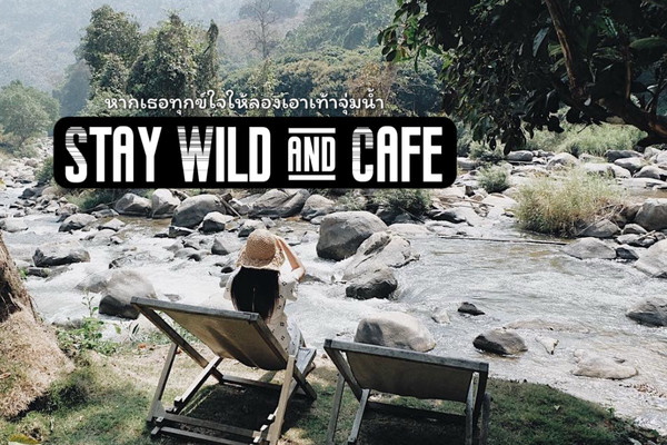 ไปฮีลใจใกล้ชิดธรรมชาติ Stay Wild & Cafe | Trip.com อำเภอ แม่แตง