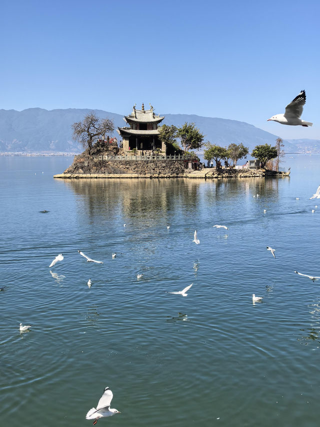 Gentle Travel Amway, Quiet Beauty Of Dali Xiaoputu | Trip.com Dali City