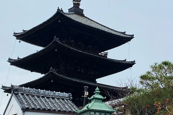 Priceless Stroll in the street of Japan | Trip.com Kyoto