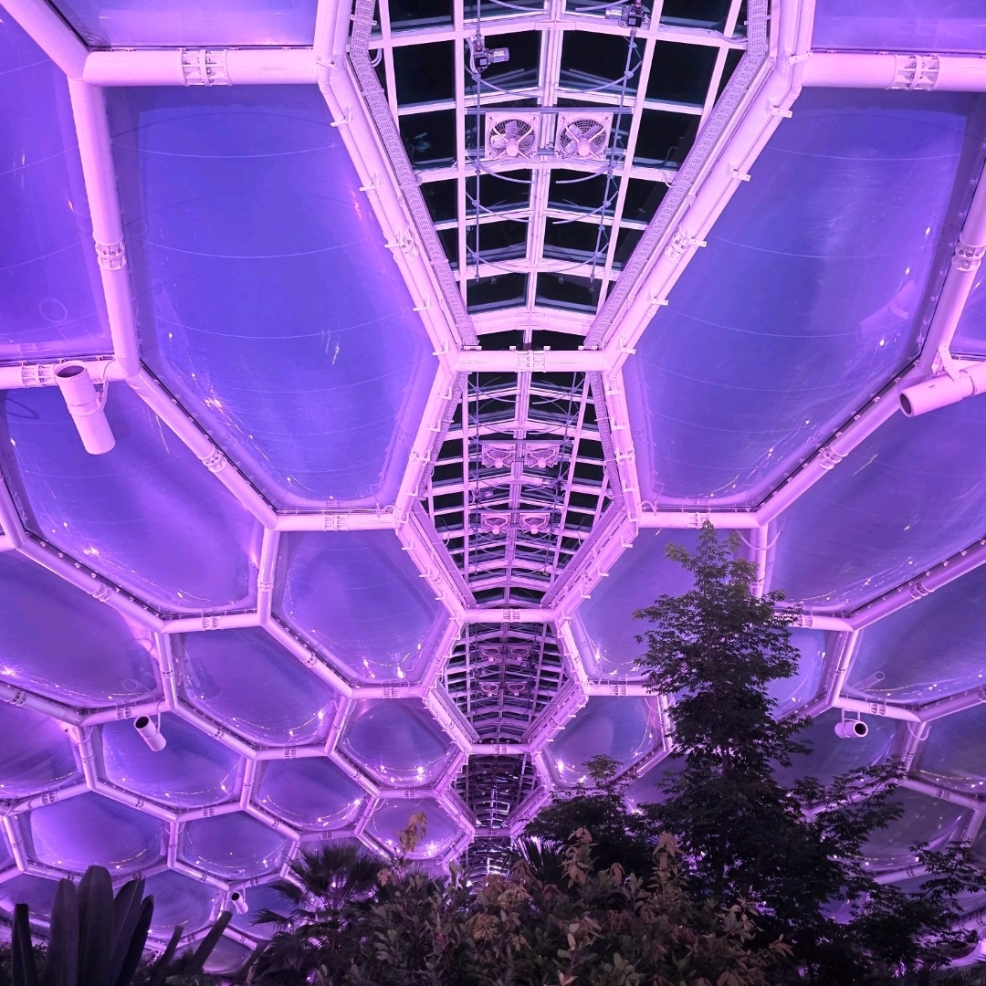 Things to Do in Bucheon-si in 2025 - Top Attractions, Local Food ...