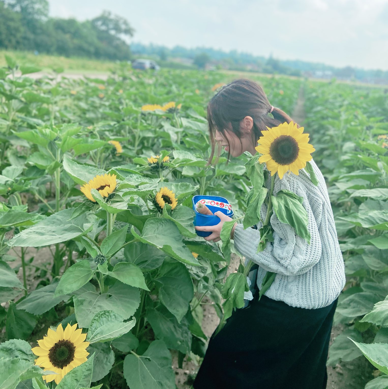 Esher Travel Guide 2024 - Things to Do, What To Eat & Tips | Trip.com