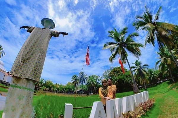 Amazing View Of Paddy Field 🫶🏻 | Trip.com Langkawi