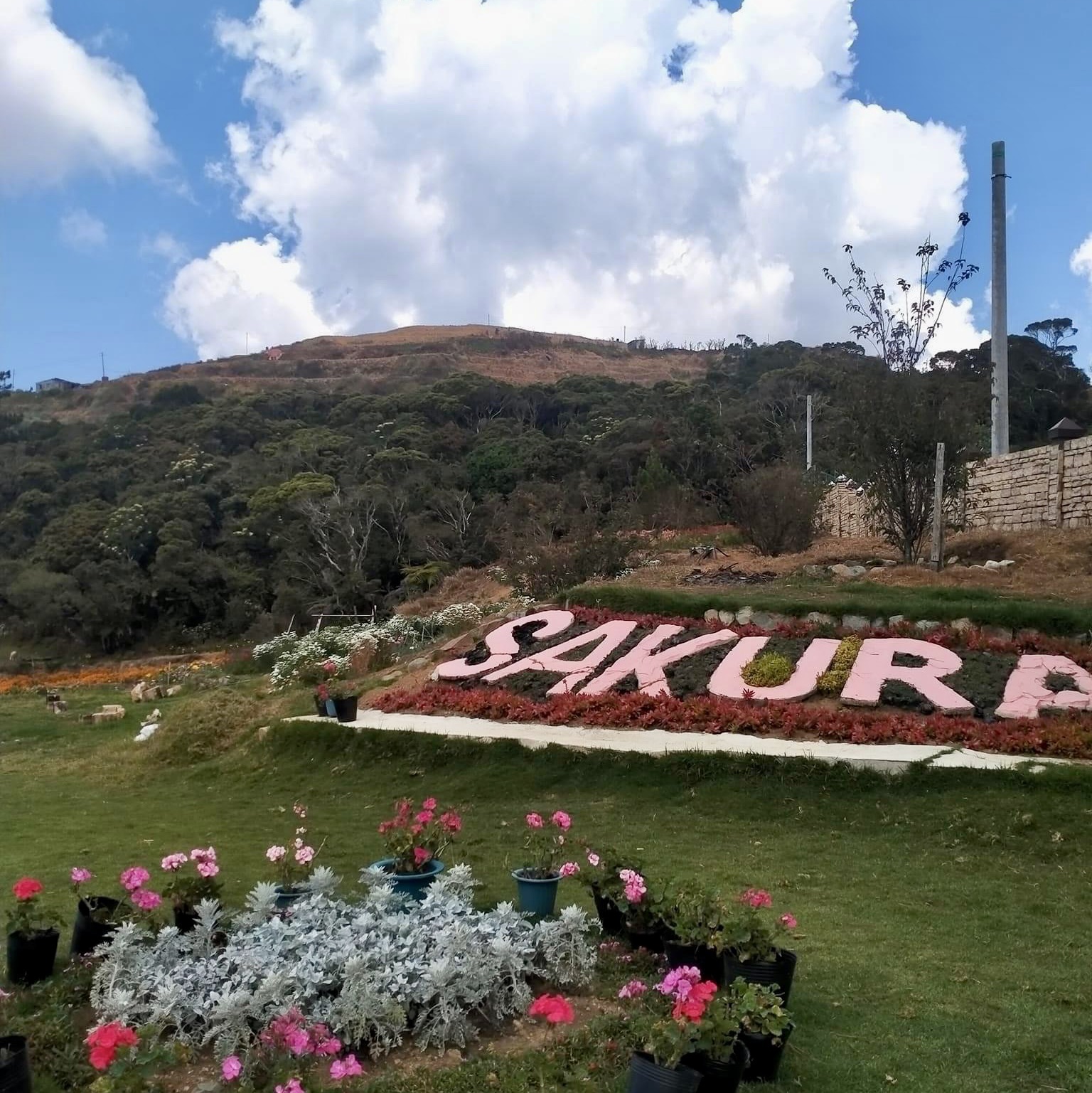 Atok Travel Guide 2024 - Things to Do, What To Eat & Tips | Trip.com