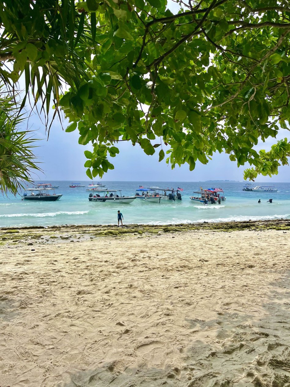 Things to Do in Tawau Division in 2024 - Top Attractions, Local Food ...