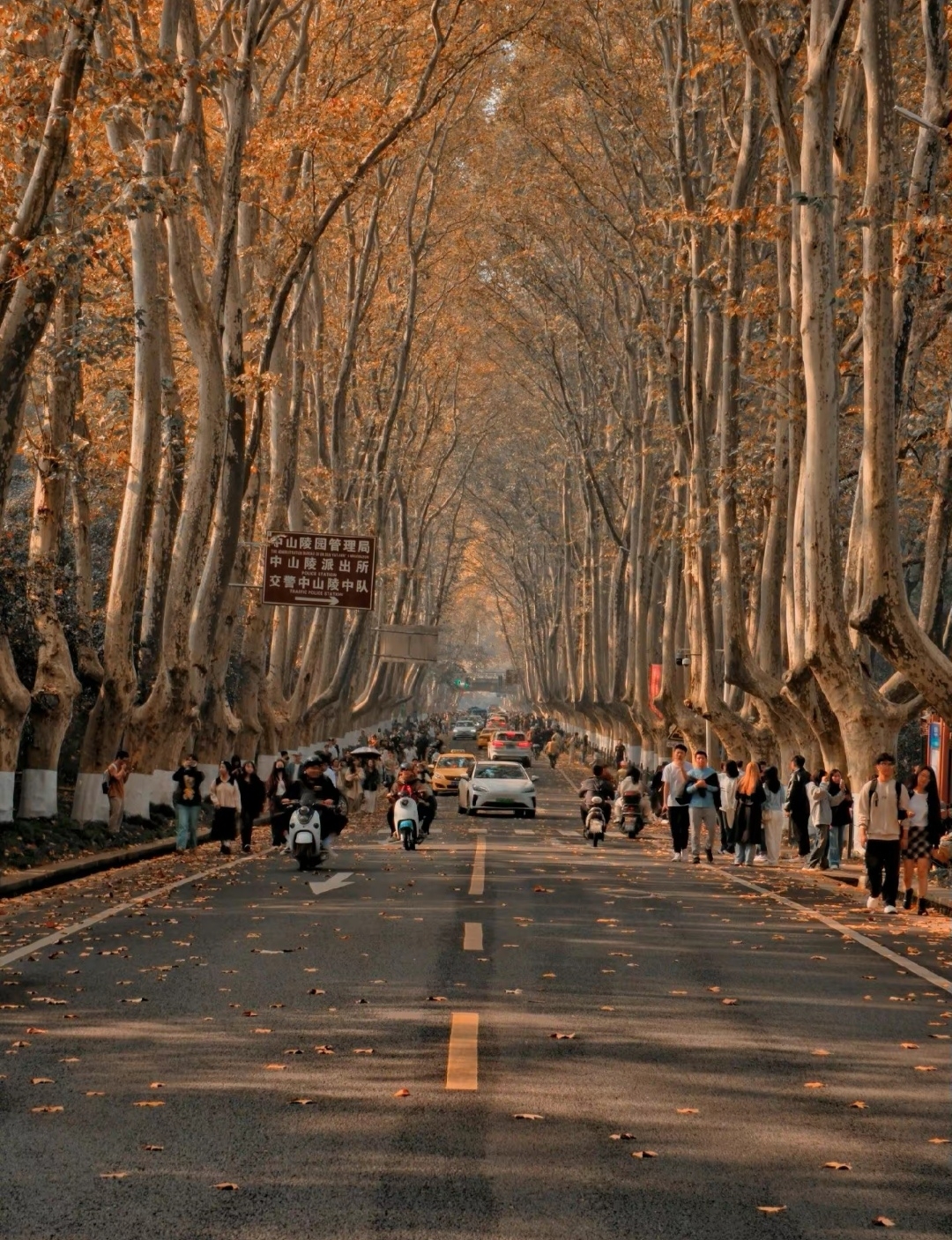 Nanjing Travel Guide 2024 - Things to Do, What To Eat & Tips | Trip.com