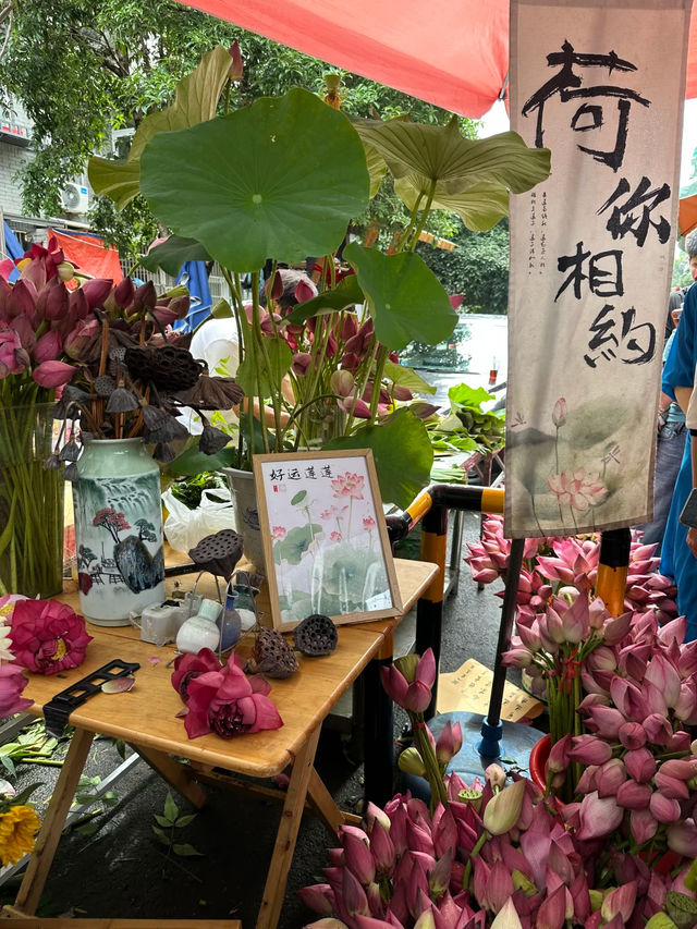 Summer Limited | Hangzhou's Most Romantic Morning Lotus Market. | Trip ...