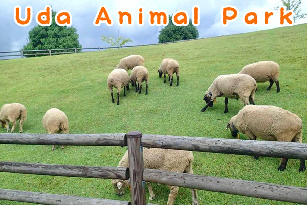 สวนสัตว์เข้าฟรี Uda Animal Park จ.นารา | Trip.com Uda