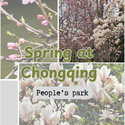 Spring at People’s Park, Chongqing🌳🌸 | Trip.com Chongqing