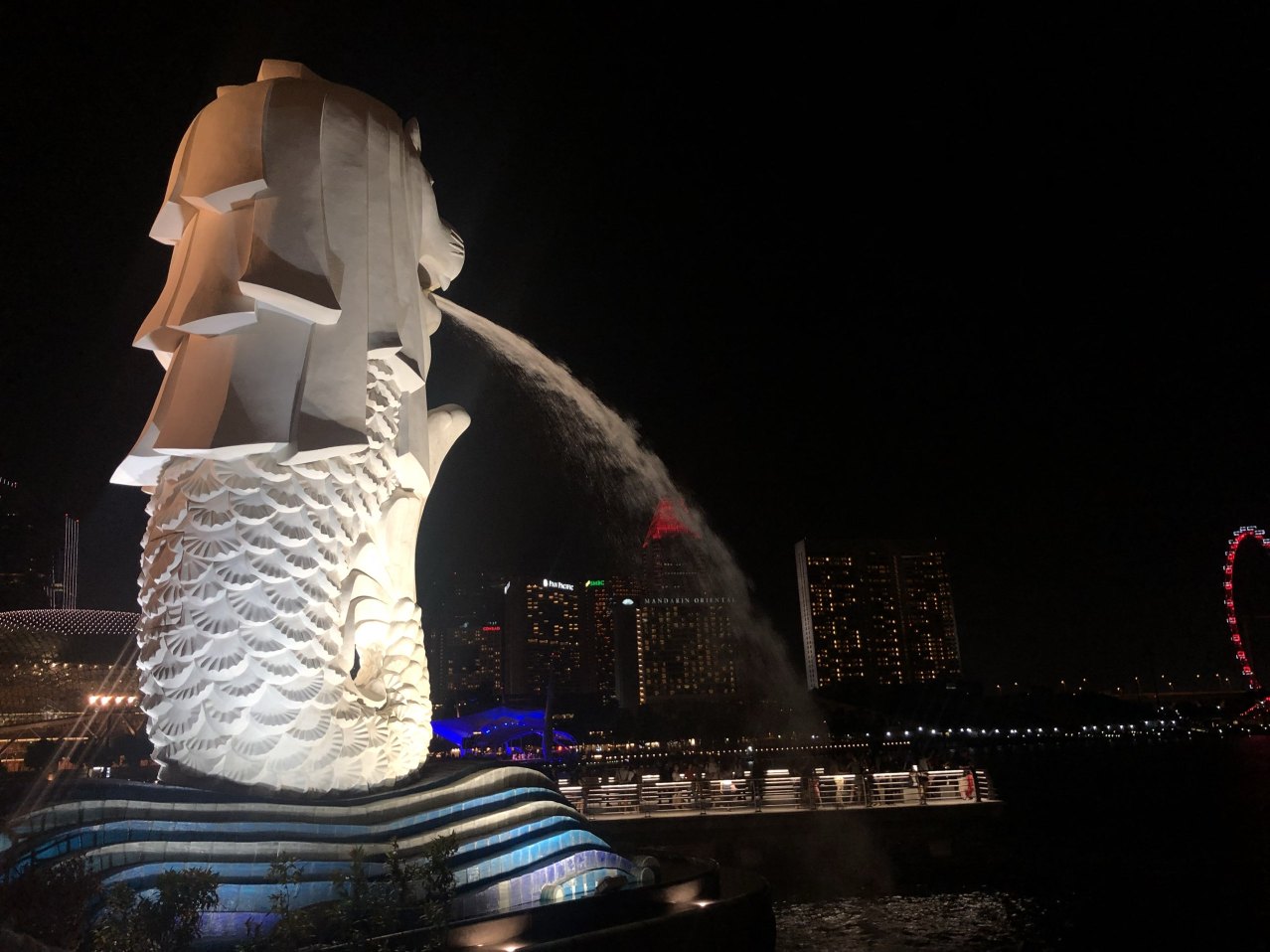 Merlion At Night