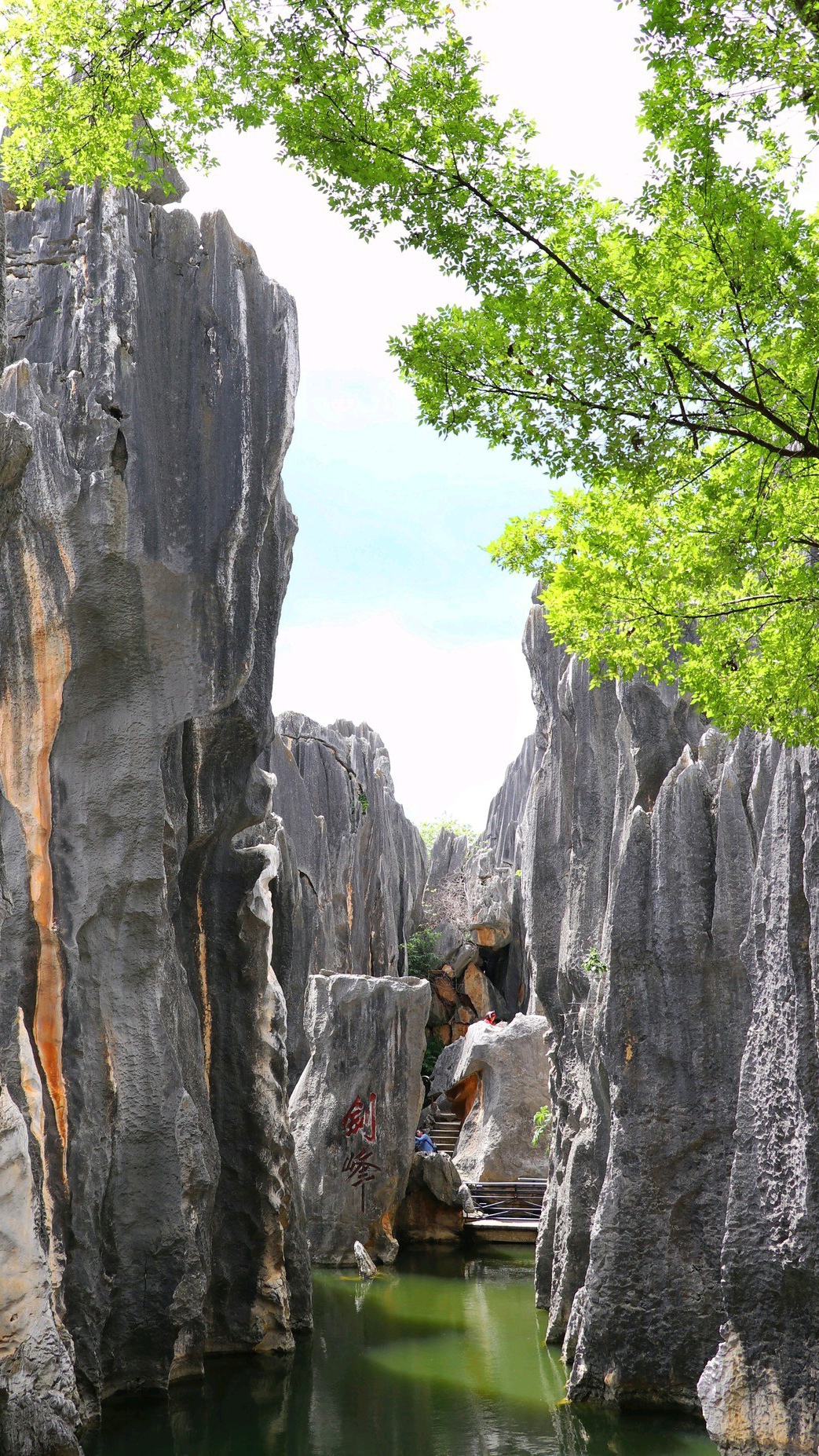 Things to Do in Shilin in 2024 - Top Attractions, Local Food, Hotels ...