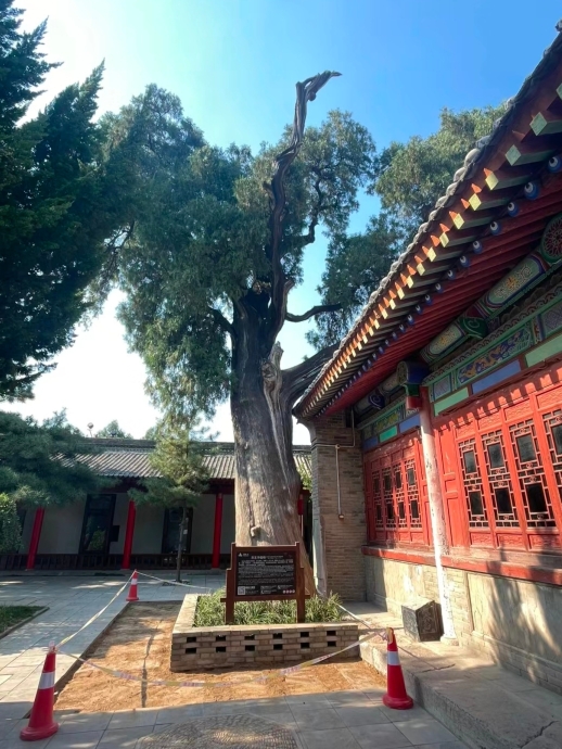 Tongchuan Travel Guide 2024 - Things to Do, What To Eat & Tips | Trip.com