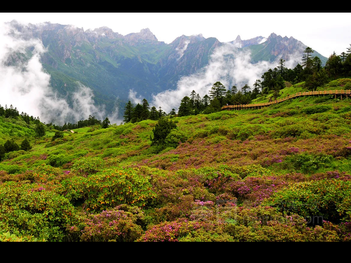 Longnan Travel Guide 2024 - Things to Do, What To Eat & Tips | Trip.com