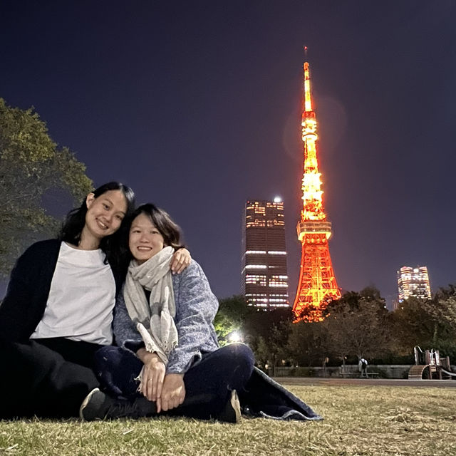 Spectacular view from Tokyo tower | Trip.com Tokyo