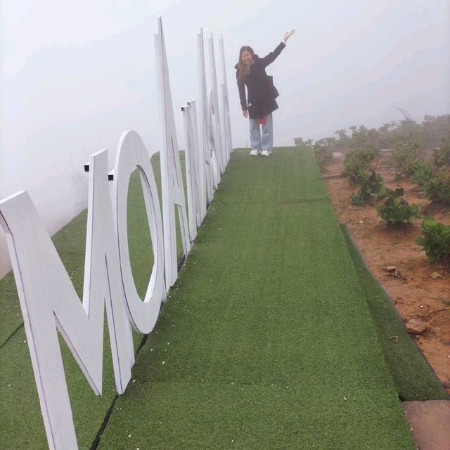 Moana Cafe Sapa เวียดนาม | Trip.com ซาปา