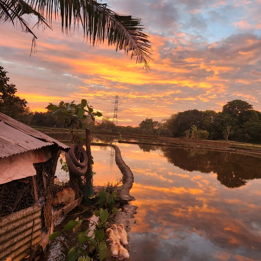 2023菲律賓熱門推薦活動－菲律賓旅遊攻略－菲律賓人氣推介景點門票、酒店、好去處、餐飲及餐廳－Trip.com
