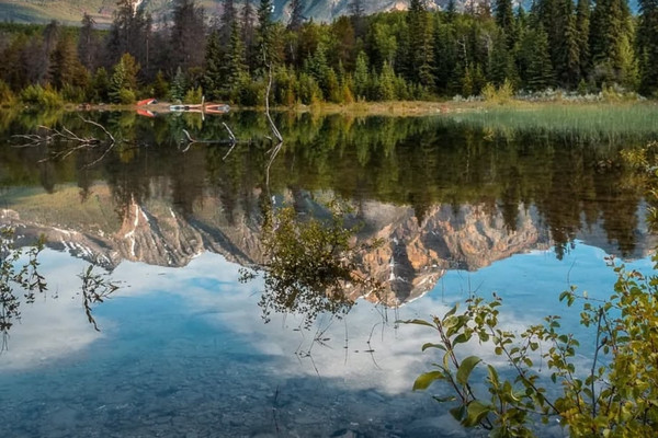 3 Reasons Why Jasper National Park Should Be Your Next Destination ...