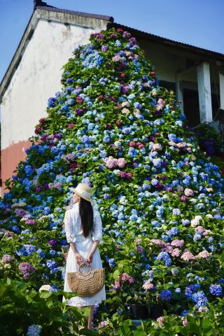 Qingpu District Travel Guide 2026: Top Attractions, Things to Do ...