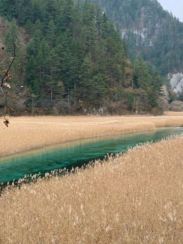 Step into a Water-Colored World: Jiuzhaigou | Trip.com Jiuzhaigou