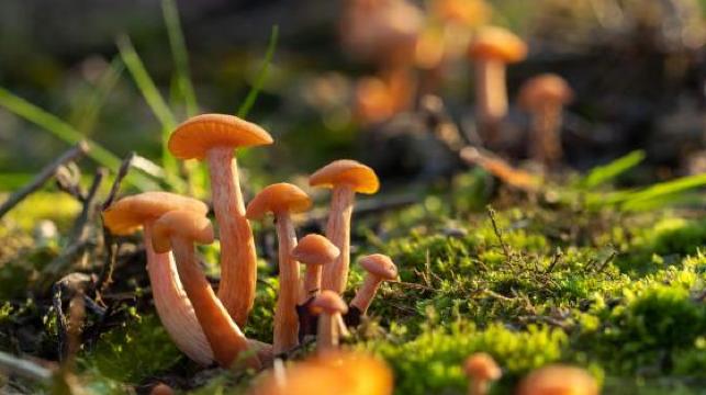 Things to Do in Shibei District in 2025 - Top Attractions, Local Food ...
