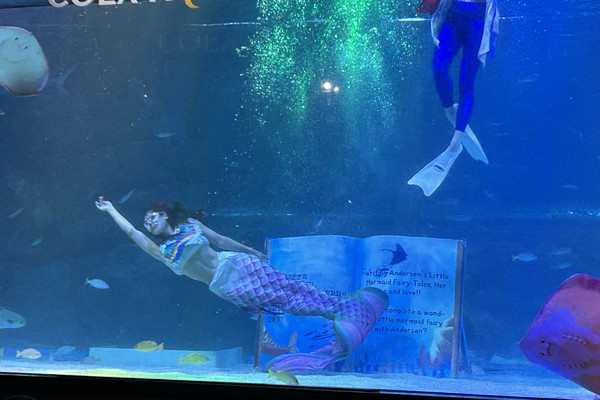 Coex Aquarium Mermaids- Seoul | Trip.com Seoul