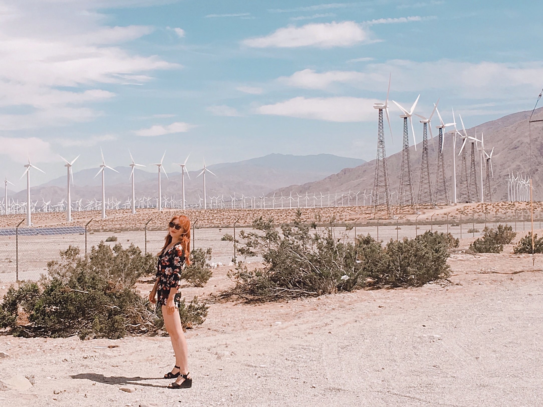 Riverside County 2024 Top Things to Do - Riverside County Travel Guides ...