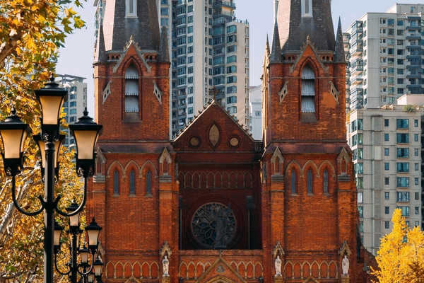 Autumn in Shanghai, with autumn maple leaves falling yellow, the ...