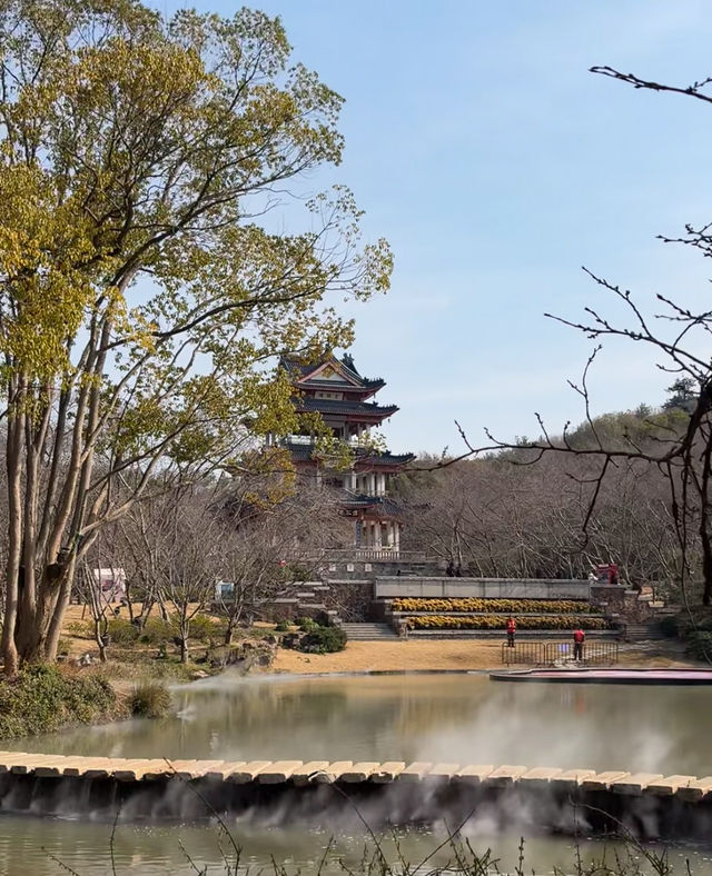 3.11 Live Footage of Early Cherry Blossom Crowds at Yuantouzhu, Wuxi ...