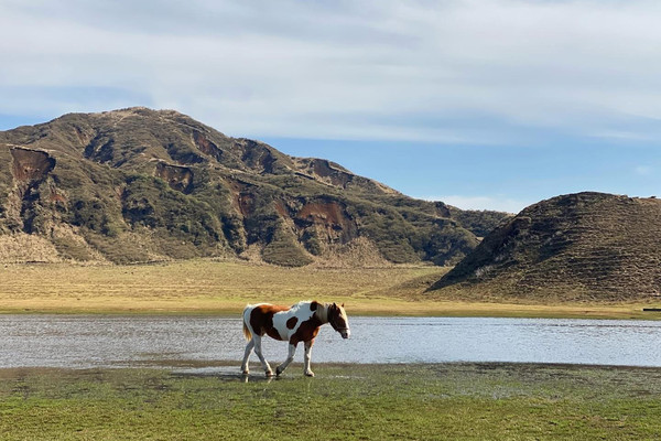 🌋 Mt. Aso (ภูเขาไฟอะโสะ) | Trip.com อะโซะ