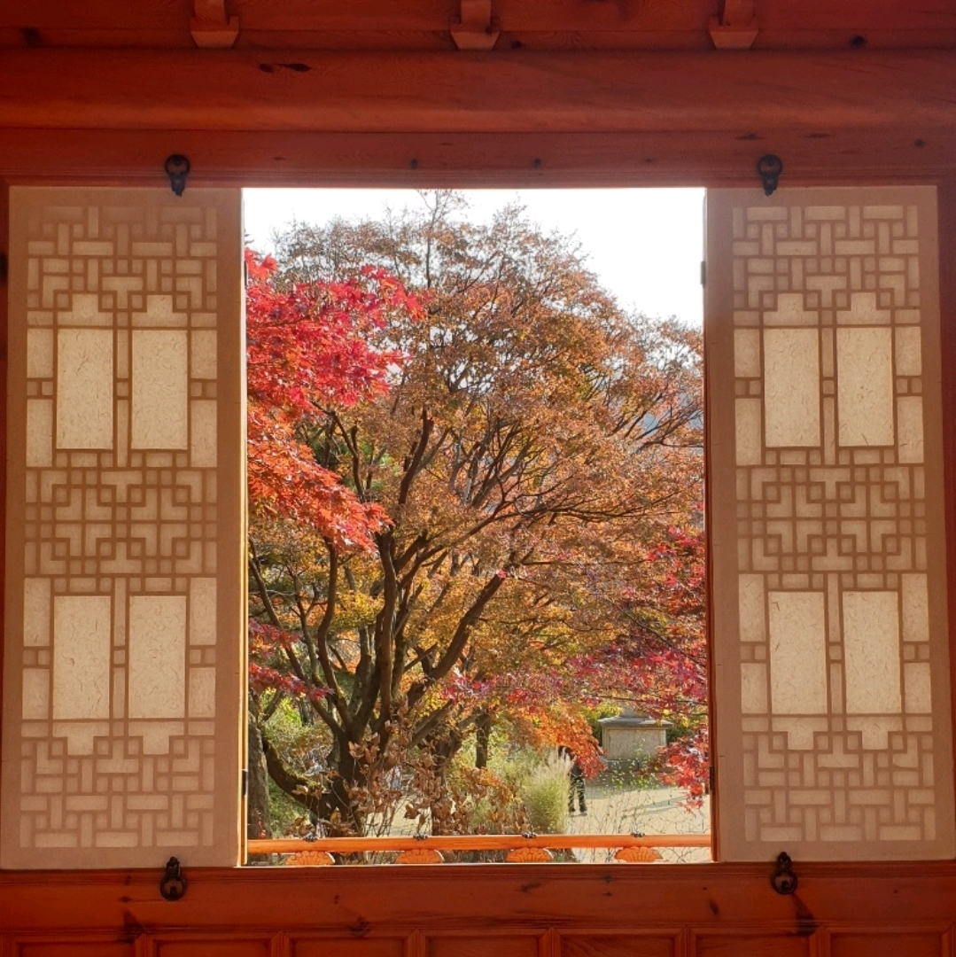 Things to Do in Yongin-si in 2025 - Top Attractions, Local Food, Hotels ...