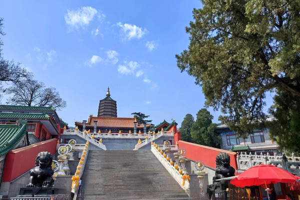 Beijing Badachu Park | Dragon Year Blessings | Trip.com Beijing