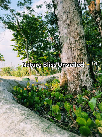 Nature Bliss Unveiled | Trip.com Kuala Lumpur