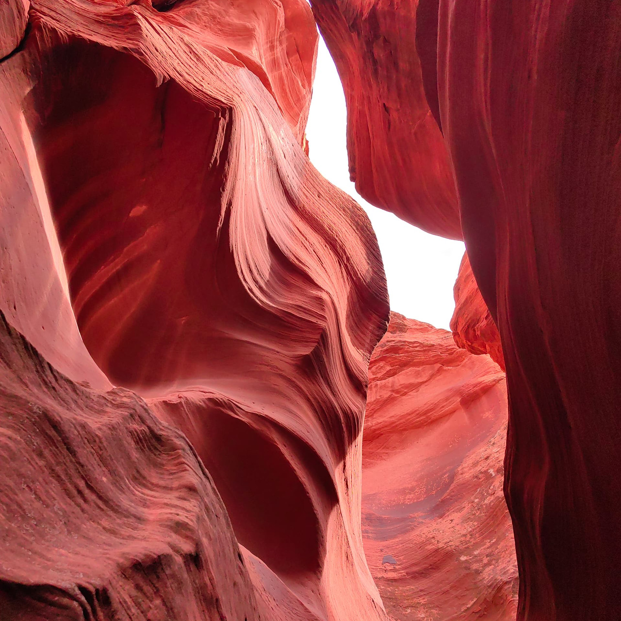 Things to Do in LeChee in 2025 - Top Attractions, Local Food, Hotels ...